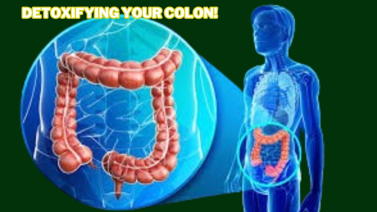 Detoxify, cleanse and strengthen the intestine (colon) quickly and ...