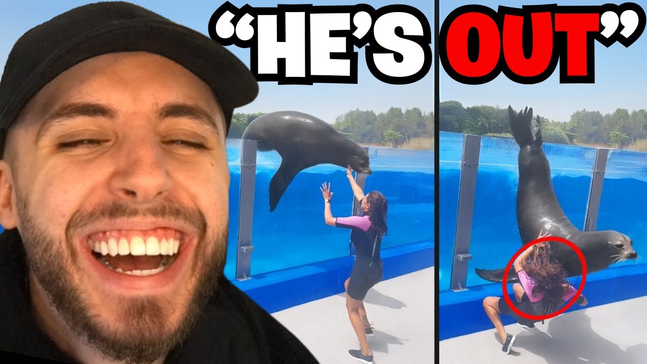 Best Fails of the Decade (Daily Dose of Internet) - YouTube