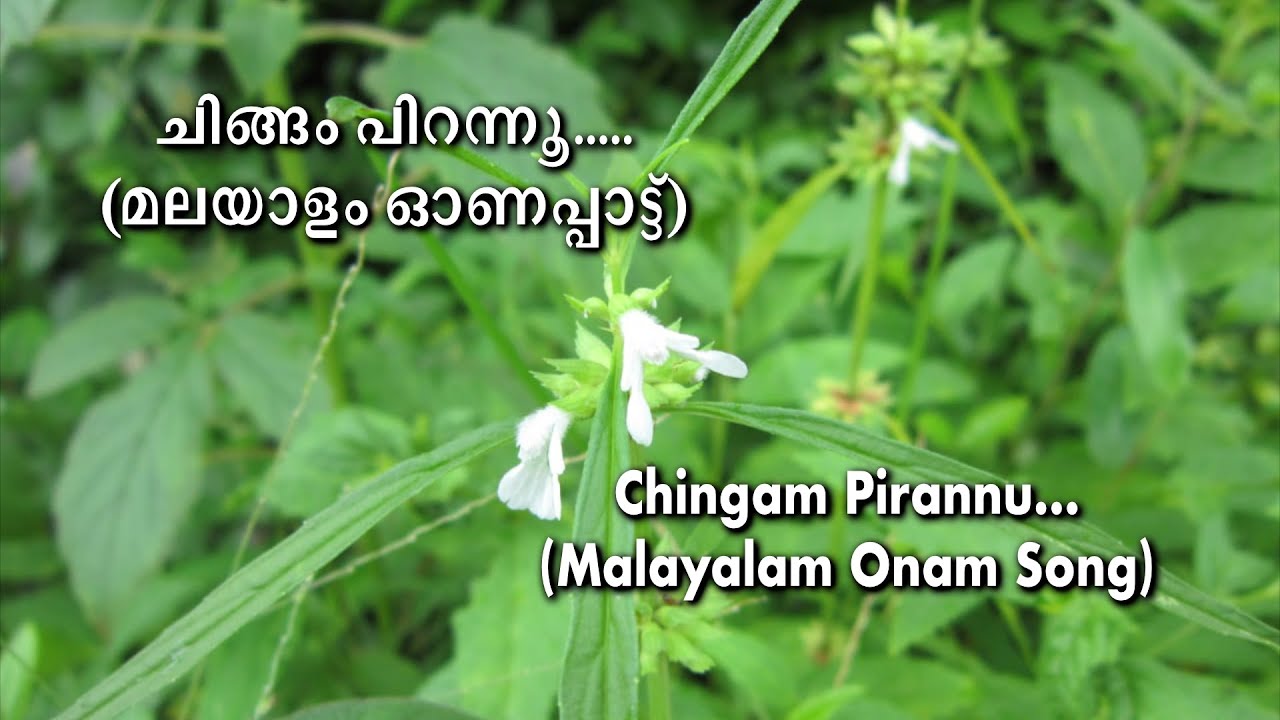 Chingam Pirannu (Malayalam Onam Song) - YouTube
