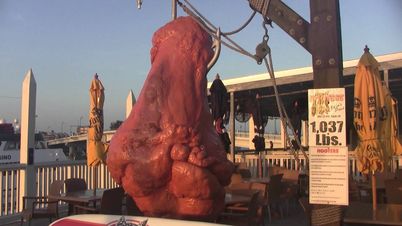 Hooters Worlds Largest Wing, Madeira Beach Florida - YouTube