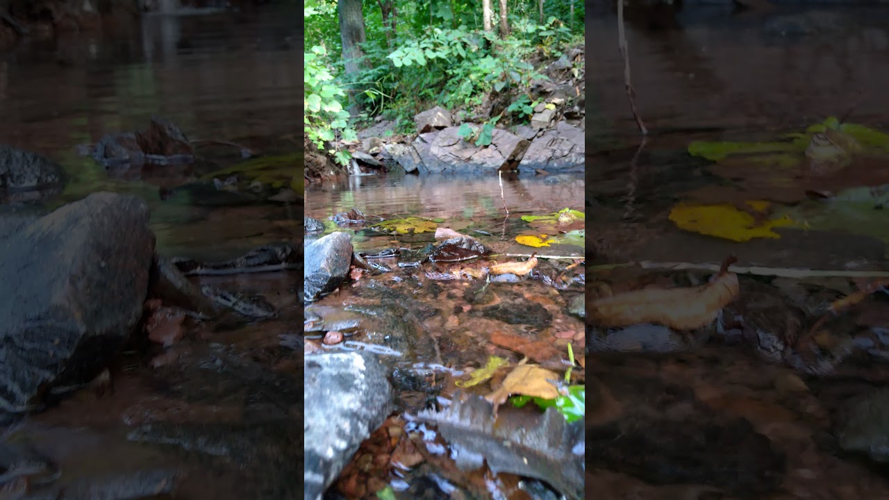 Kera chuwa jungle lormi 10/11/2019 - YouTube