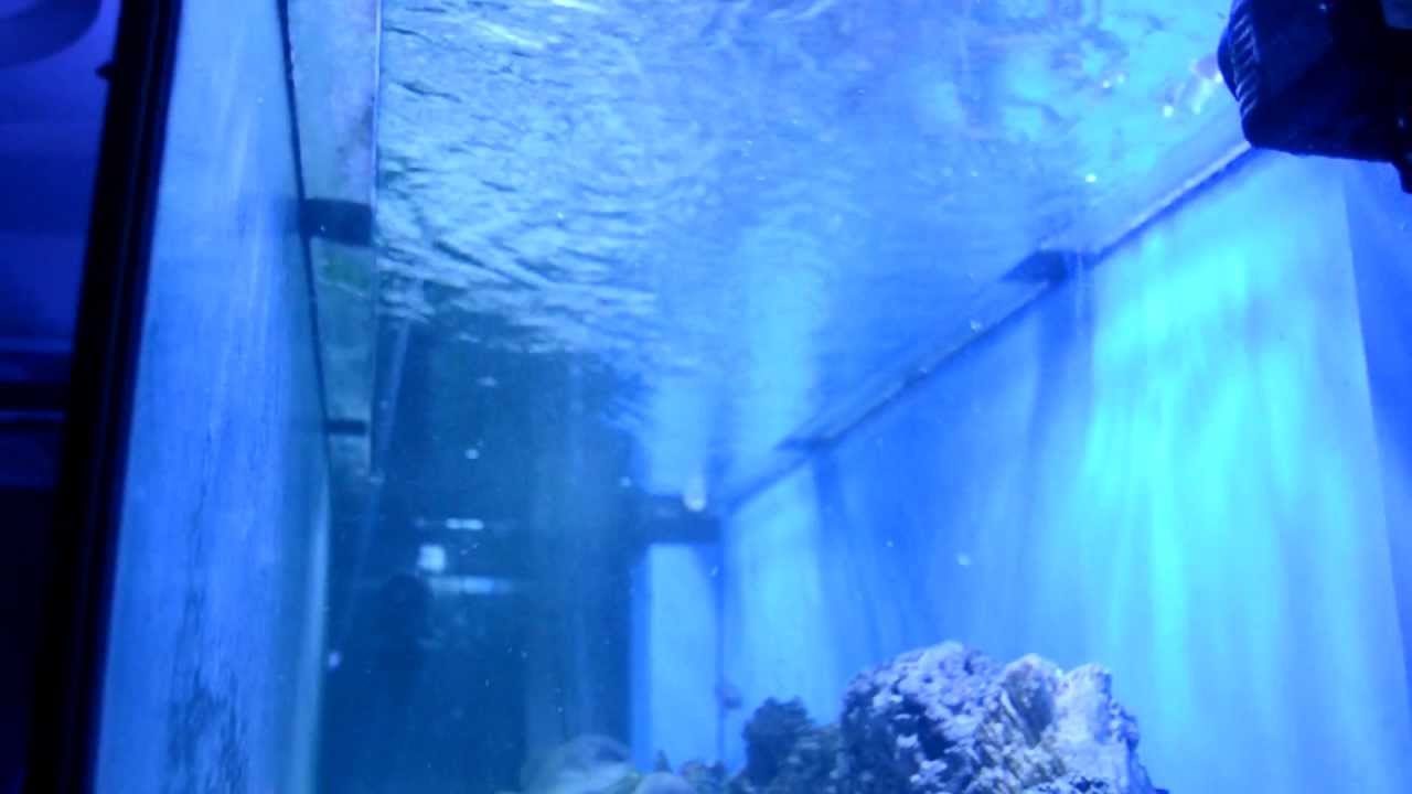 PUMPS 2 X OCEAN PROP 15000 l/h for 1000 l aquarium - YouTube