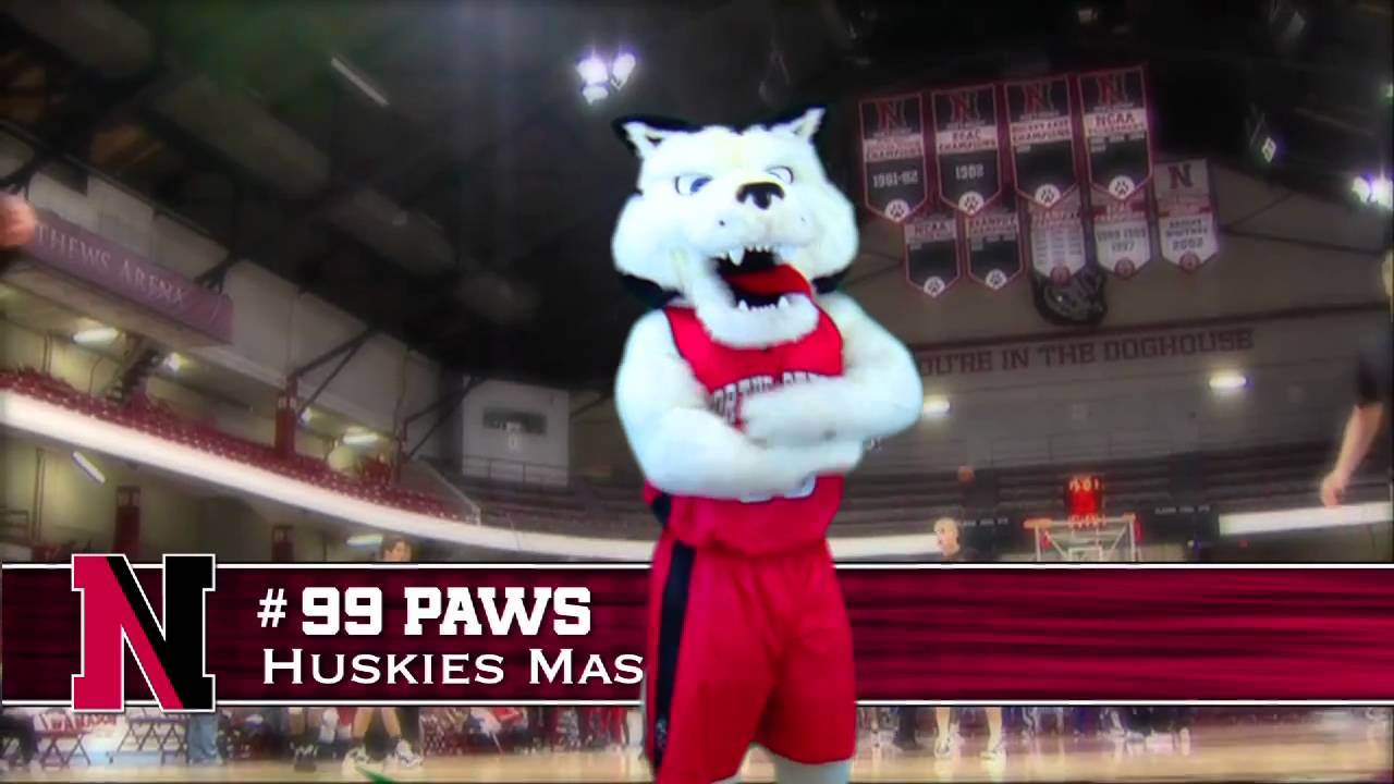 Northeastern Athletics - Paws getting ready for Huskies Basketball ...