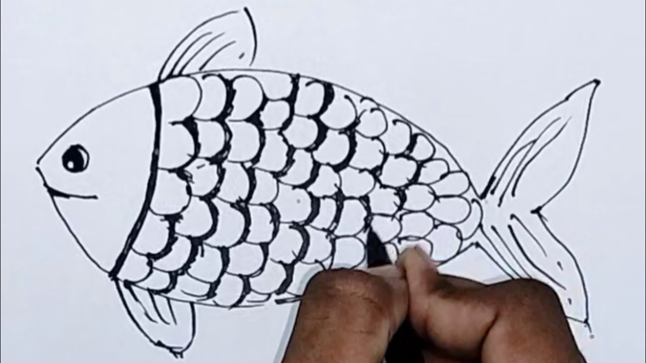 How to Draw a Fish 🐟 Easily। Fish Drawing Tutorial। Top Up Art and ...