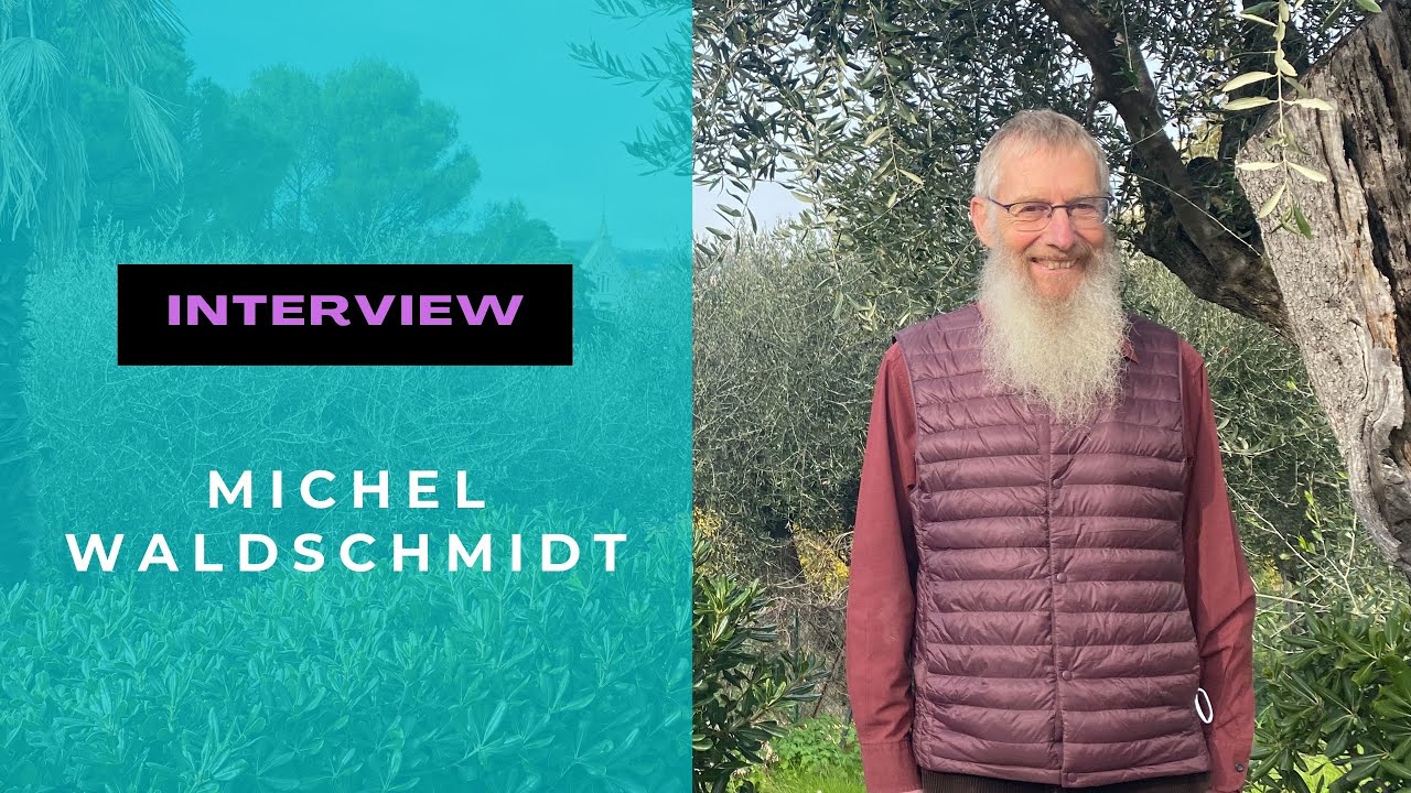 Interview de Michel Waldschmidt (Professeur émérite - Sorbonne ...