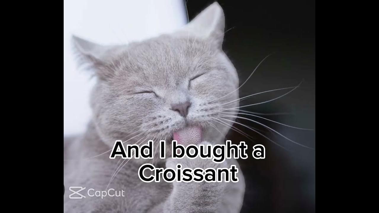 Croissant - YouTube