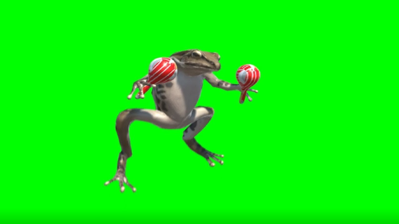Maracas Frog Animated Green Screen Excellence Pack - YouTube