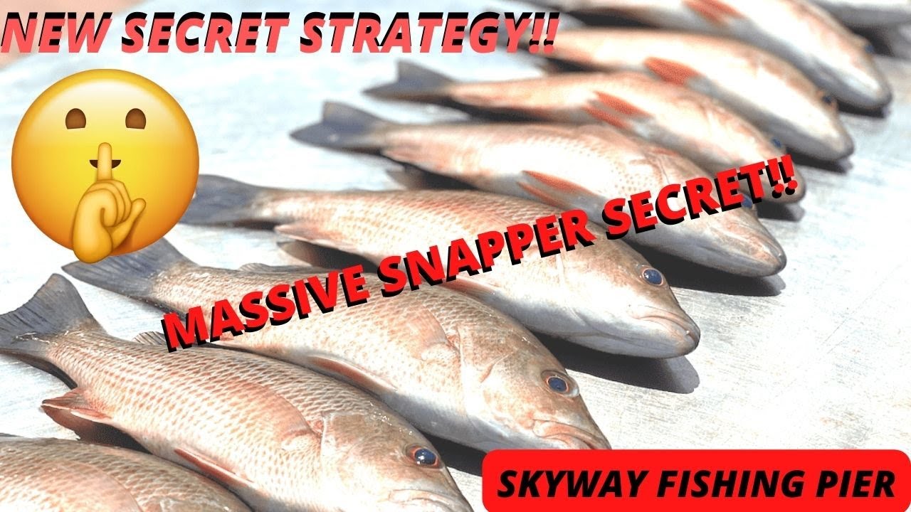 Skyway Fishing Pier Snapper And Grouper Fishing| SECRET NEW METHOD ...