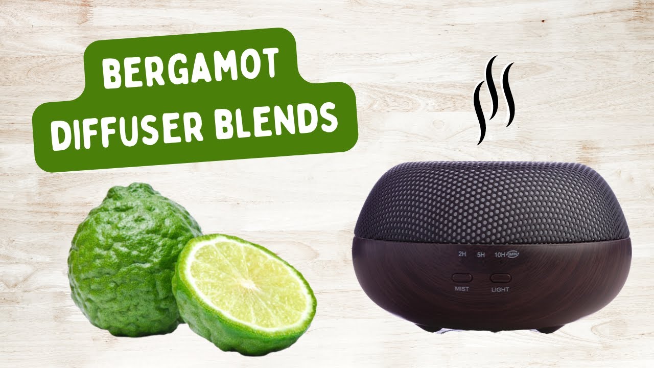 5 Bergamot Oil Diffuser Blends - YouTube