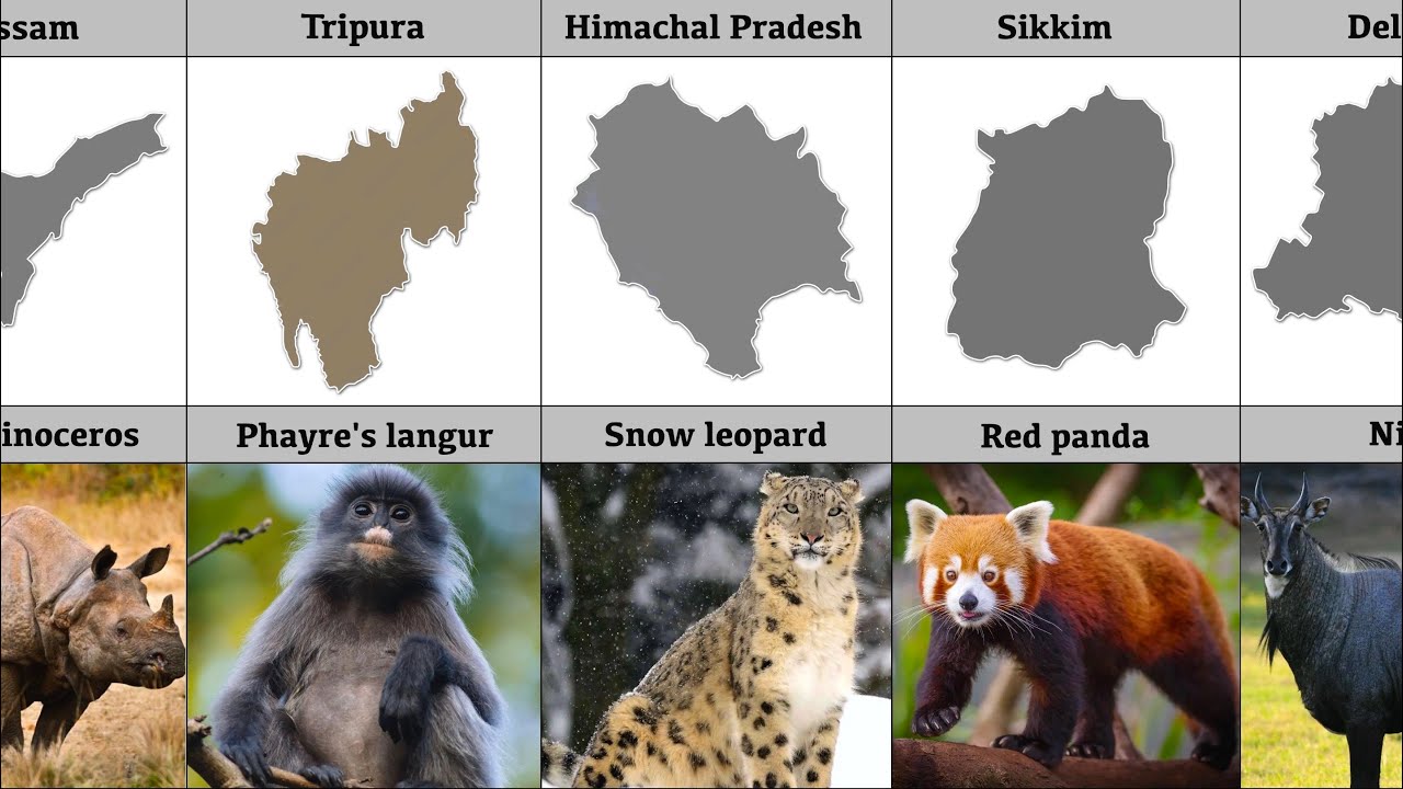 List of Indian State Animals | सभी राज्य पशुओं की सूची - YouTube