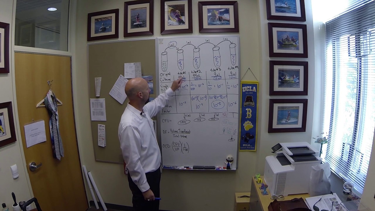 Serial Dilutions Video Tutorial - YouTube