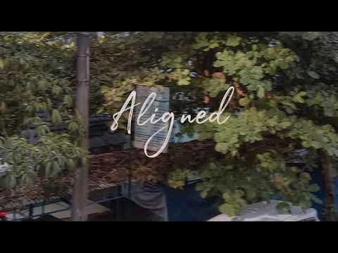 Aligned | original song - YouTube Music