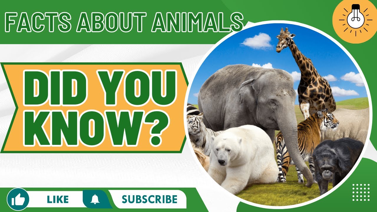 Did You Know Facts About Animals