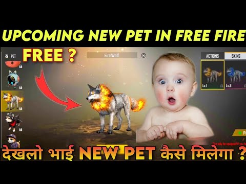 How To Get Fire Wolf Pet In Free Fire 2021 | Free Fire New Pet Kab ...