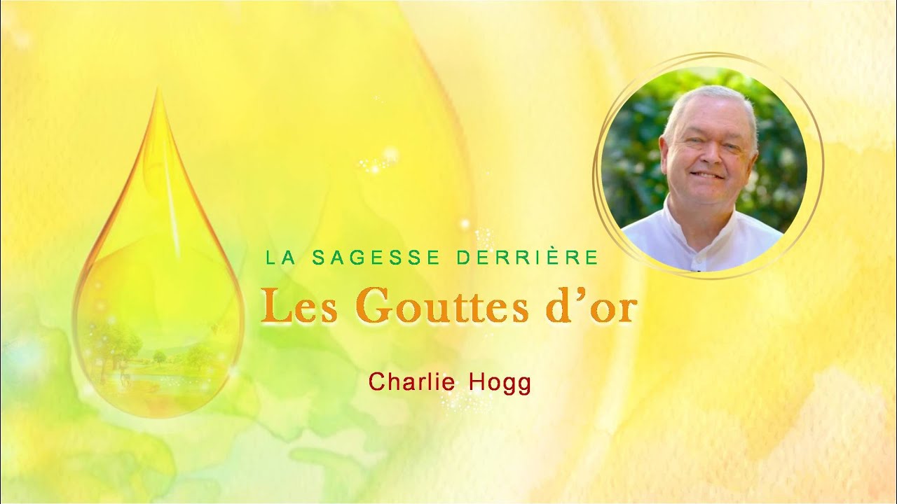 Sagesse derrière les gouttes d'or : Charlie Hogg - YouTube