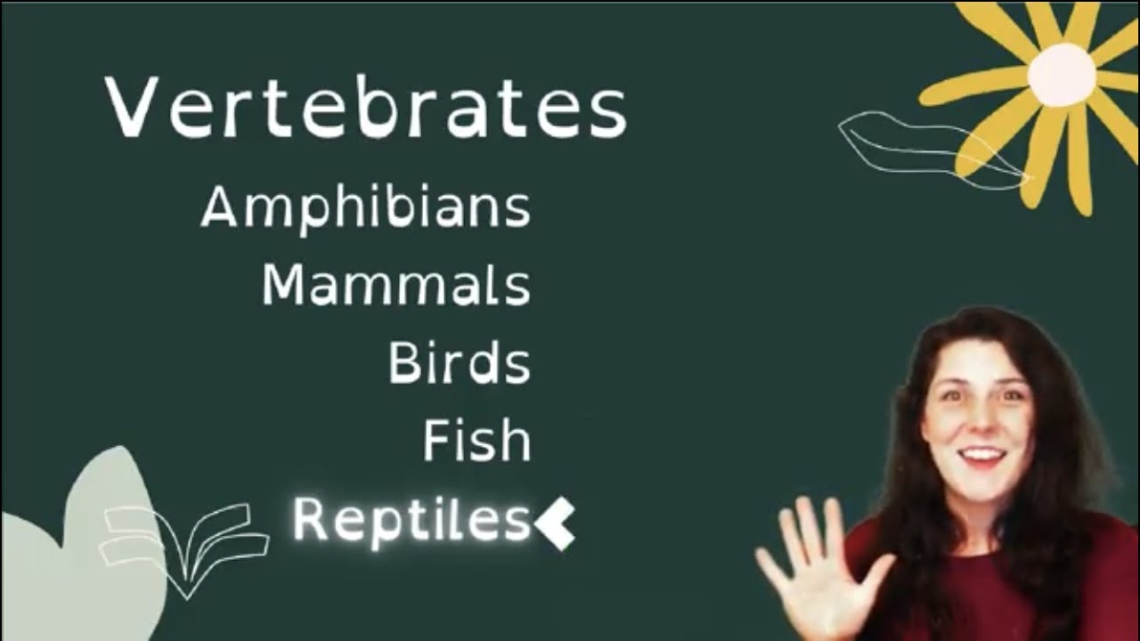 Animal Mystery Guessing Game and Story Time Read a Long: Intro to ...