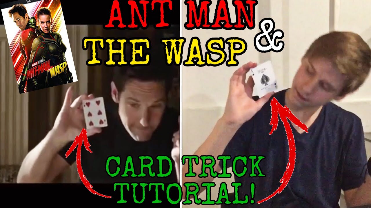 ANT MAN AND THE WASP CARD TRICK TUTORIAL! (Part #1) - YouTube