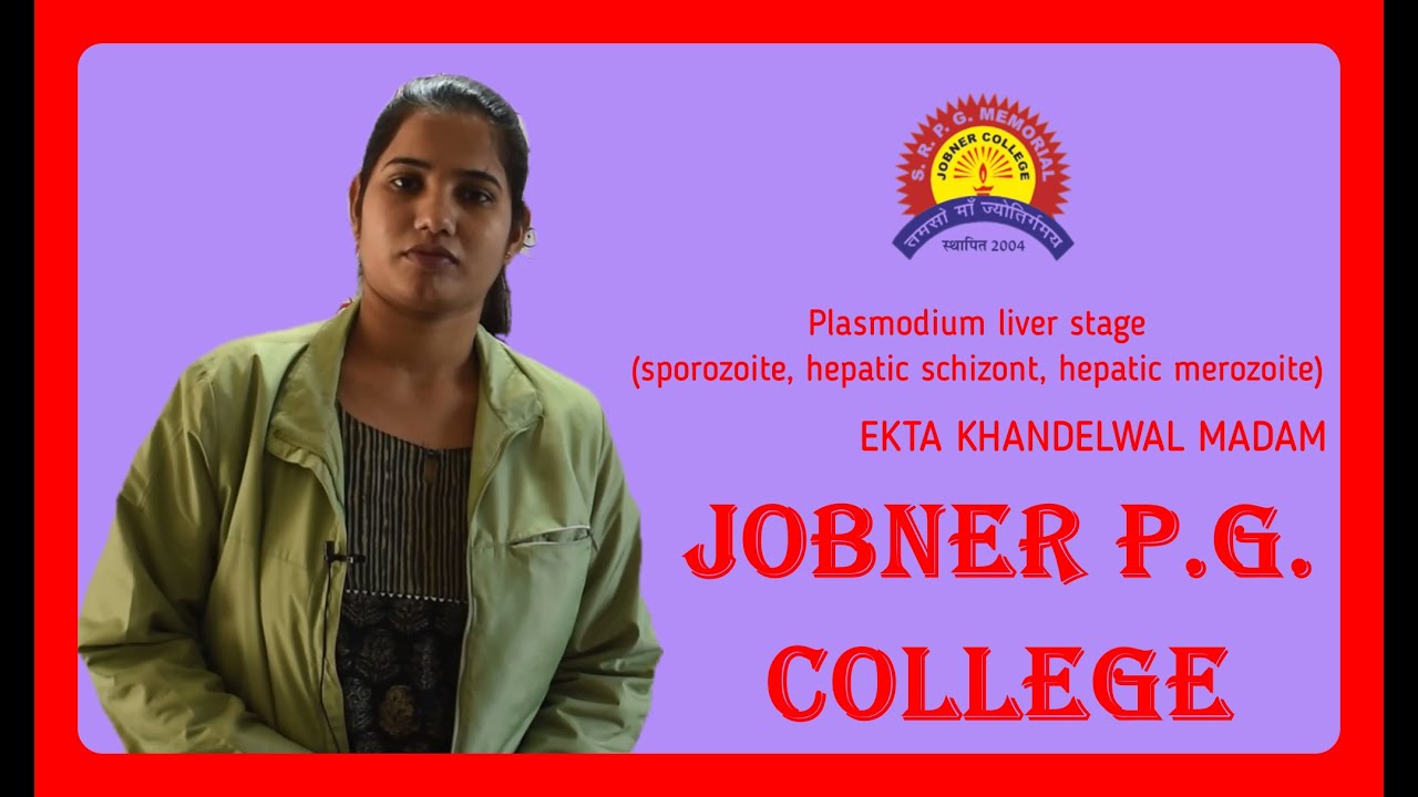 Plasmodium liver stage sporozoite, hepatic schizont, hepatic merozoite ...