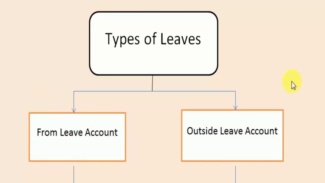 Types Of Leave Education Information YouTube types-of-leave-education-information-youtube