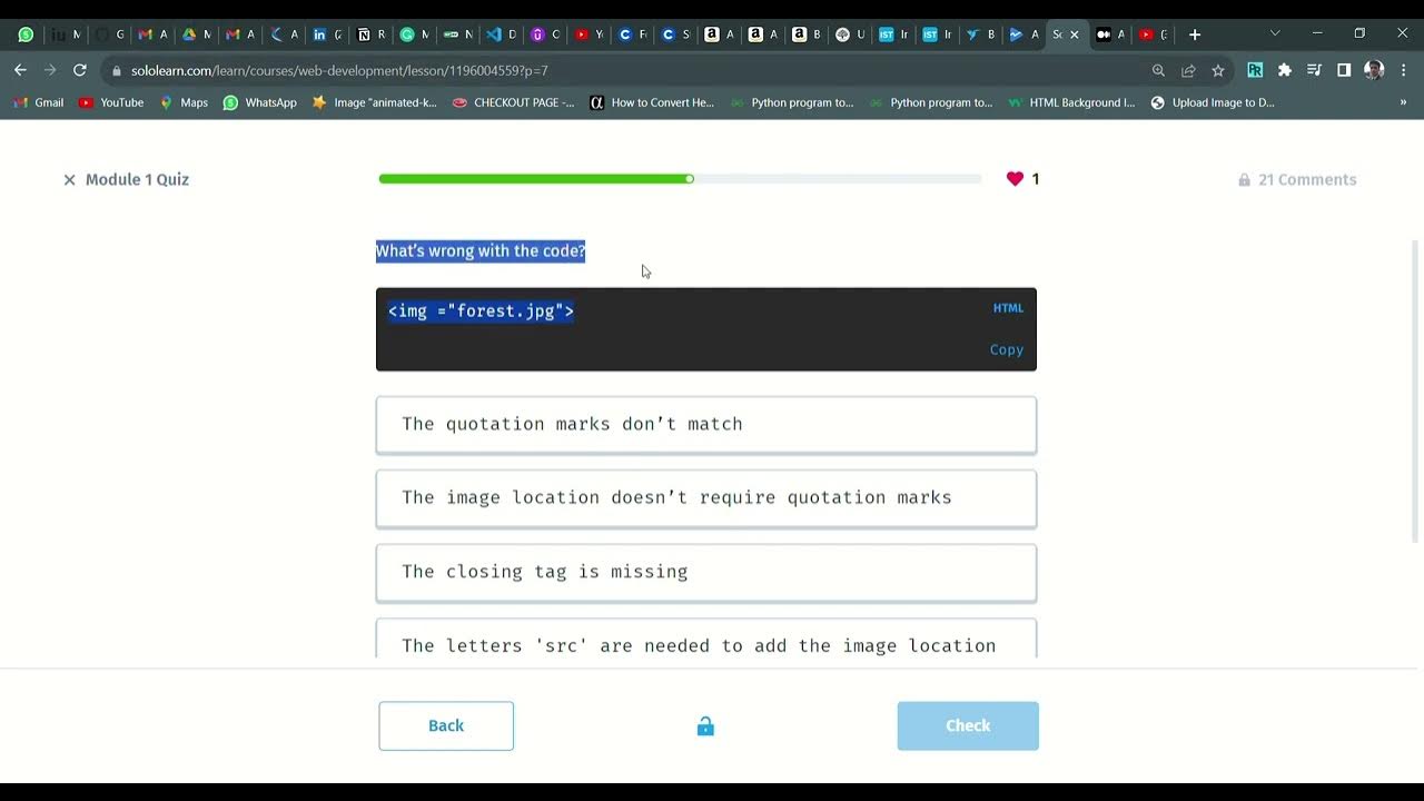 8 Module 1 Quiz Web Development Sololearn Answers Youtube