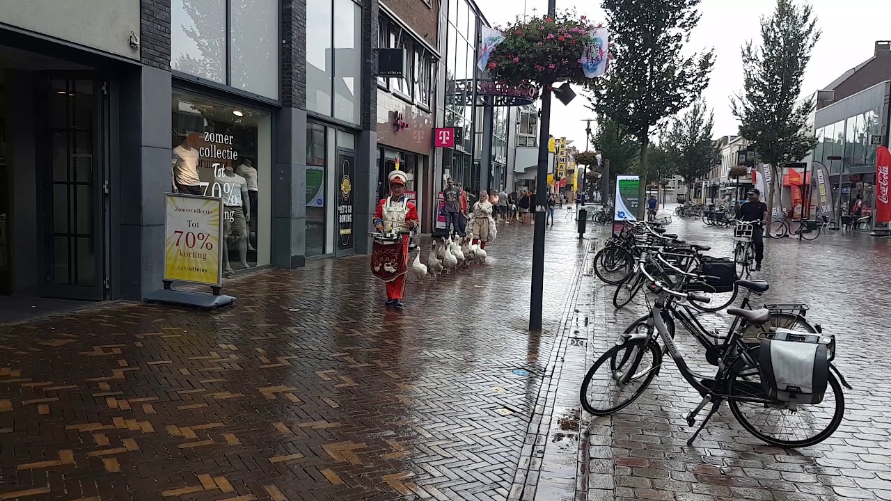 Parade of geese in the Netherlands ))) - YouTube