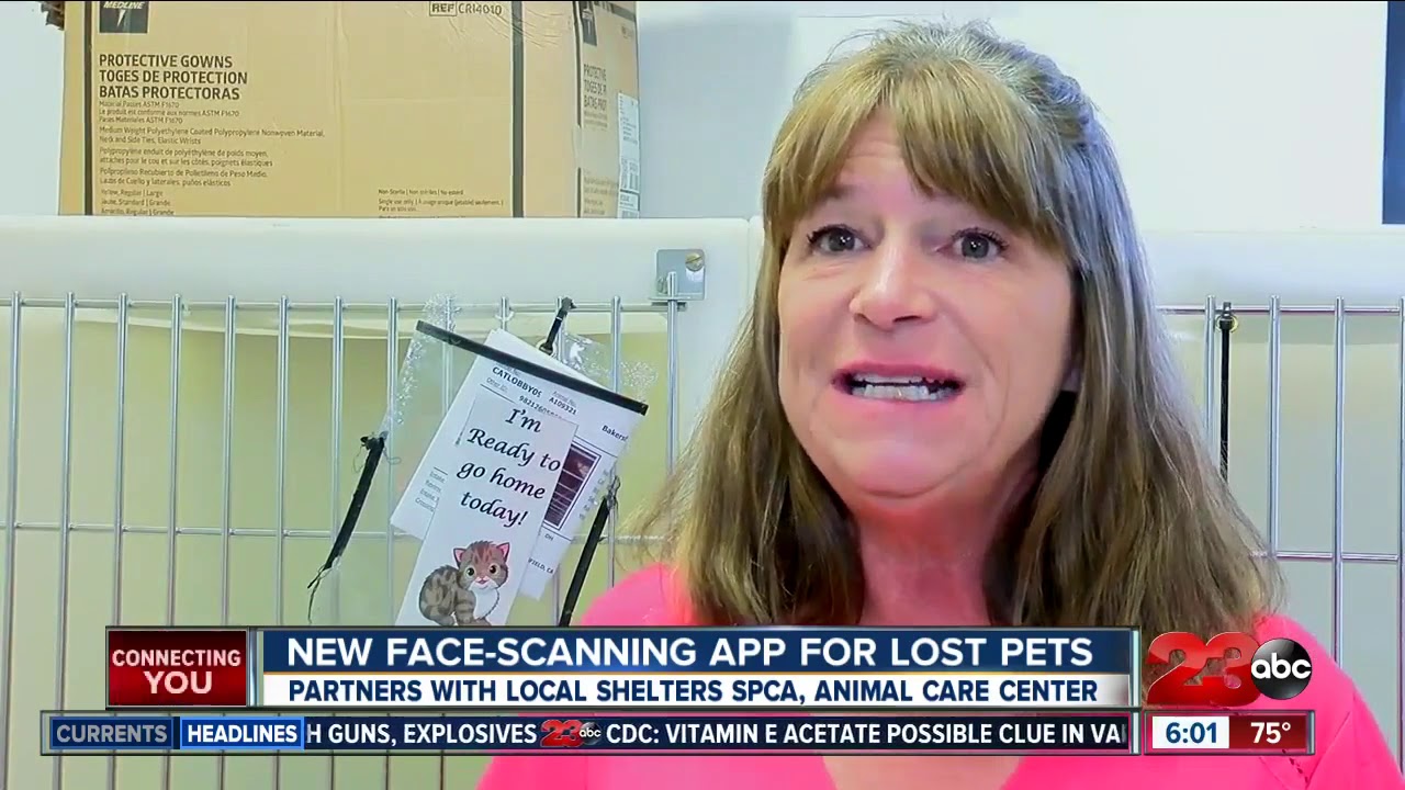 New Face-Scanning app for lost pets - YouTube