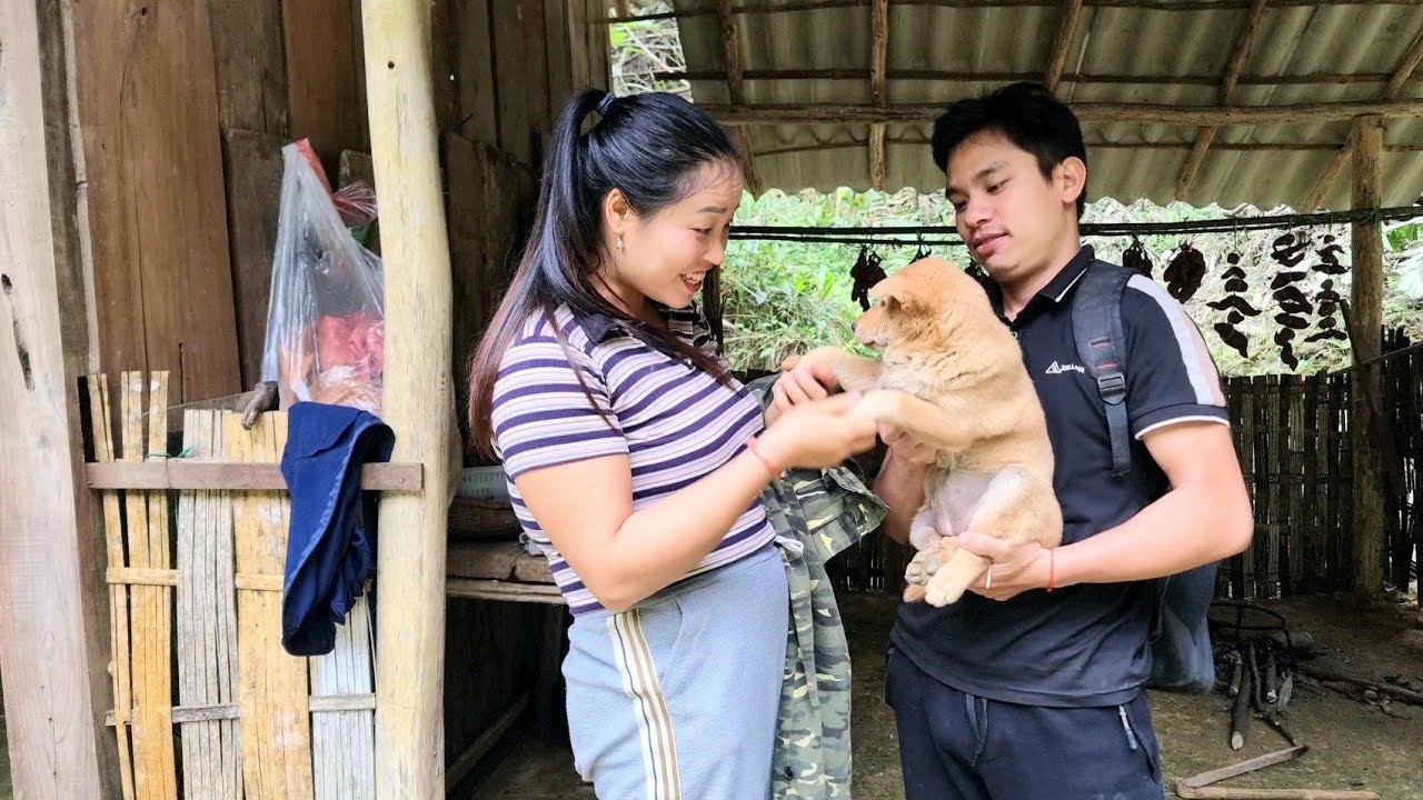 Lam returned to his family smiling happily, leading his adorable pet ...
