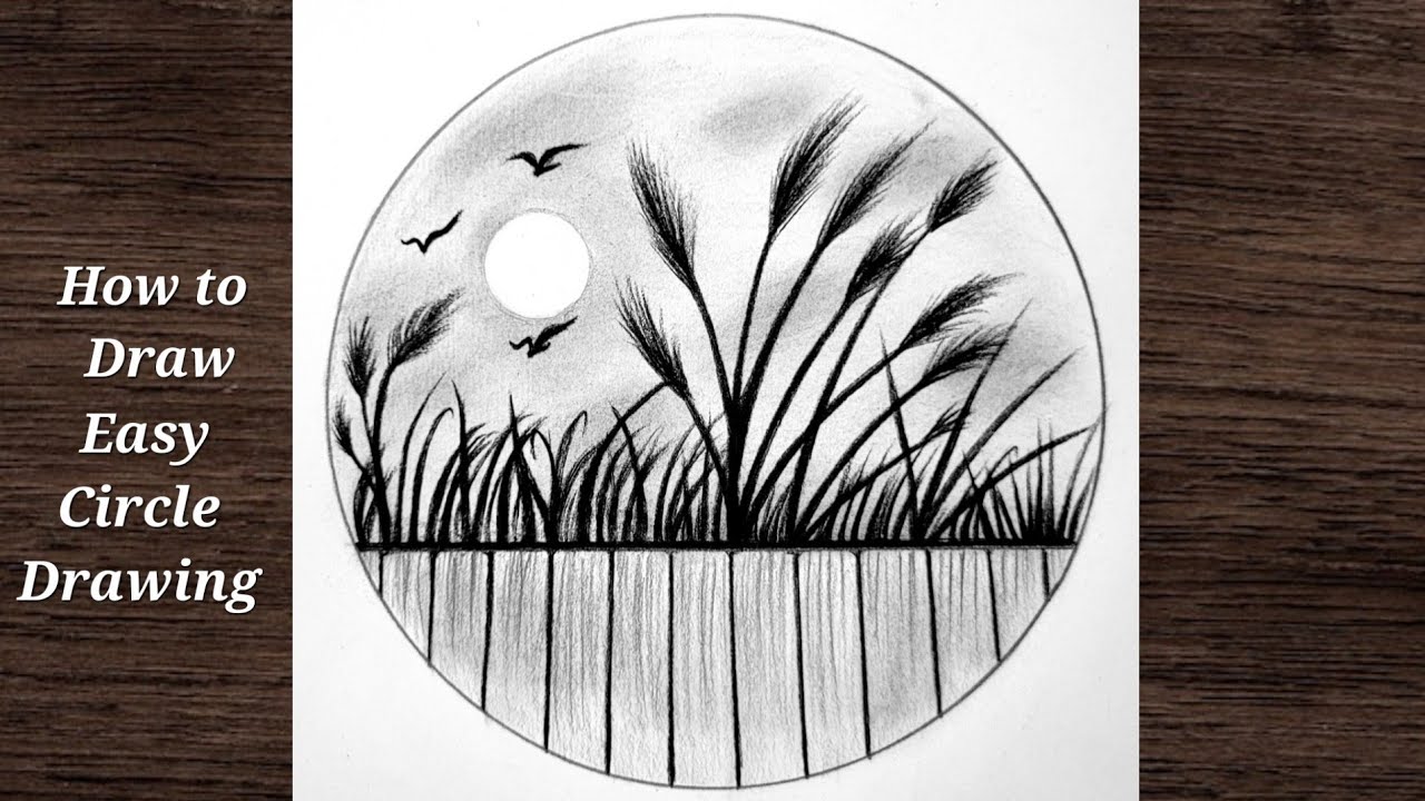 Easy Circle Drawing for Beginners | Pencil Sketch of Nature ️ - YouTube