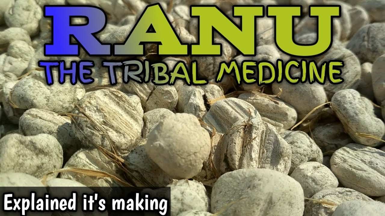 RANU : THE TRIBAL MEDICINE | Explained it's making | रानु - YouTube