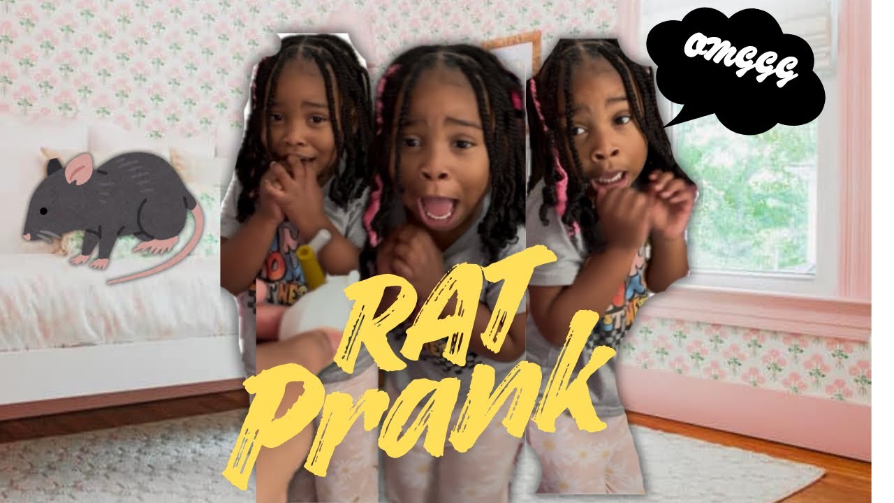 RAT PRANK ON RYAN ‼️ - YouTube