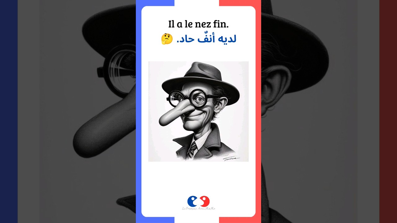 ماهو المعنى الحقيقي للتعبير الفرنسي "avoir le nez fin"؟ - YouTube
