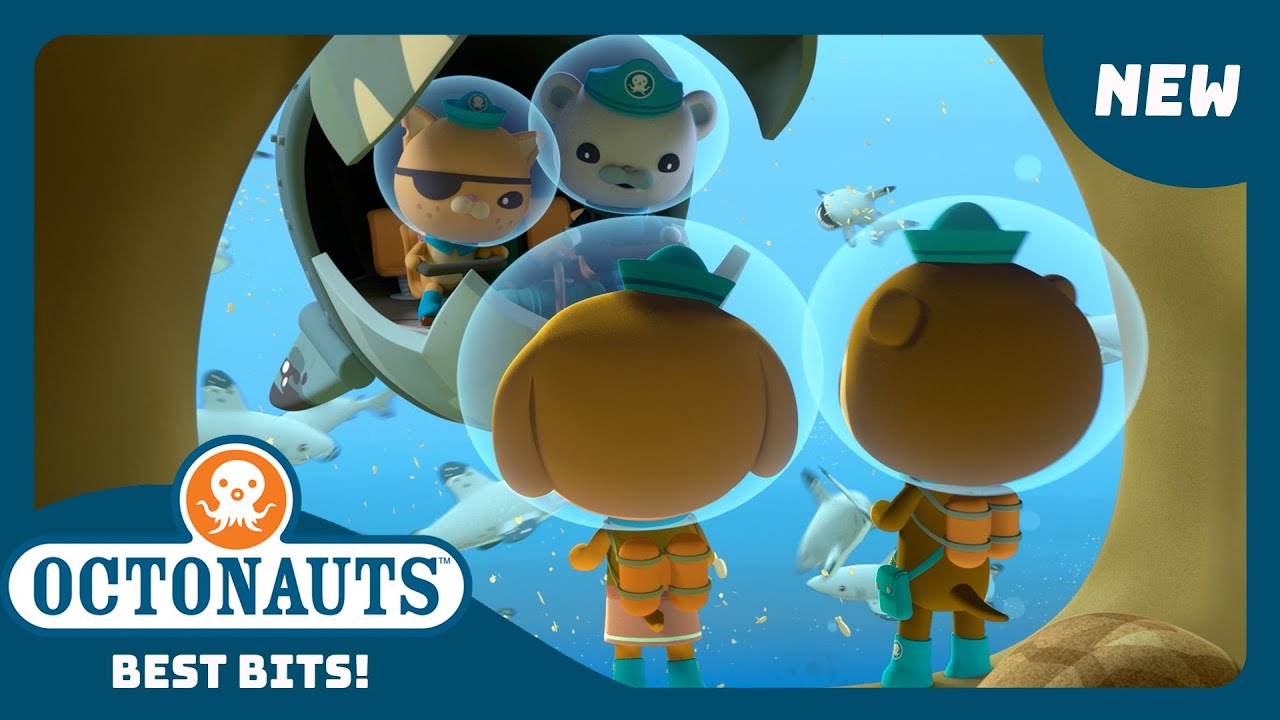 @Octonauts - 🤿 The Team Escape a Shark Feeding Frenzy 🦈 | Brand New ...