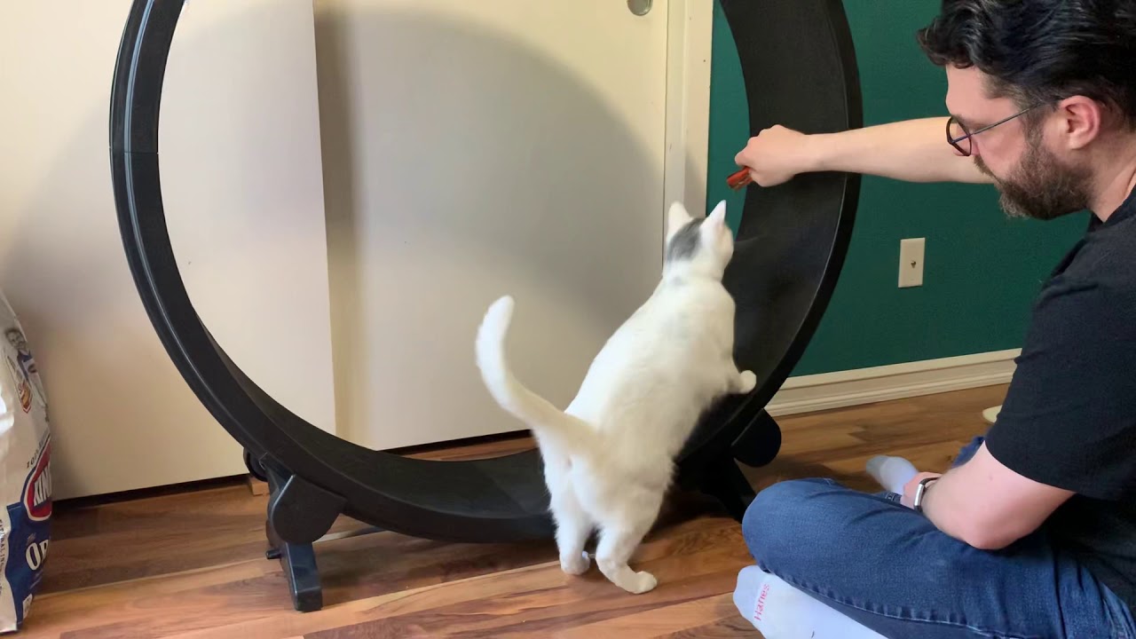 Running of the Chonk to 5-31/20 - YouTube