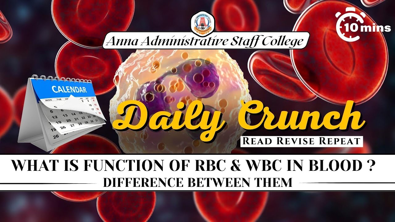 What is Function of RBC & WBC in blood ? & Difference Between them ...