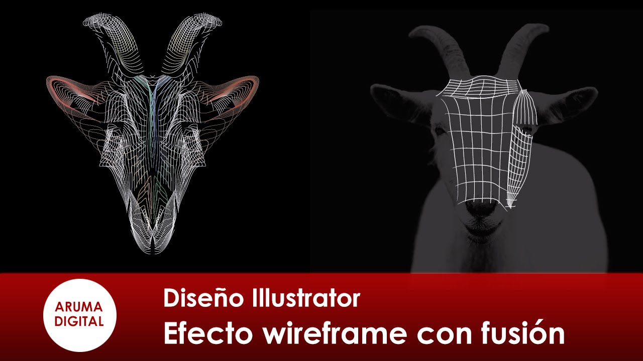 Illustrator 175 Efecto Wireframe con fusion - YouTube