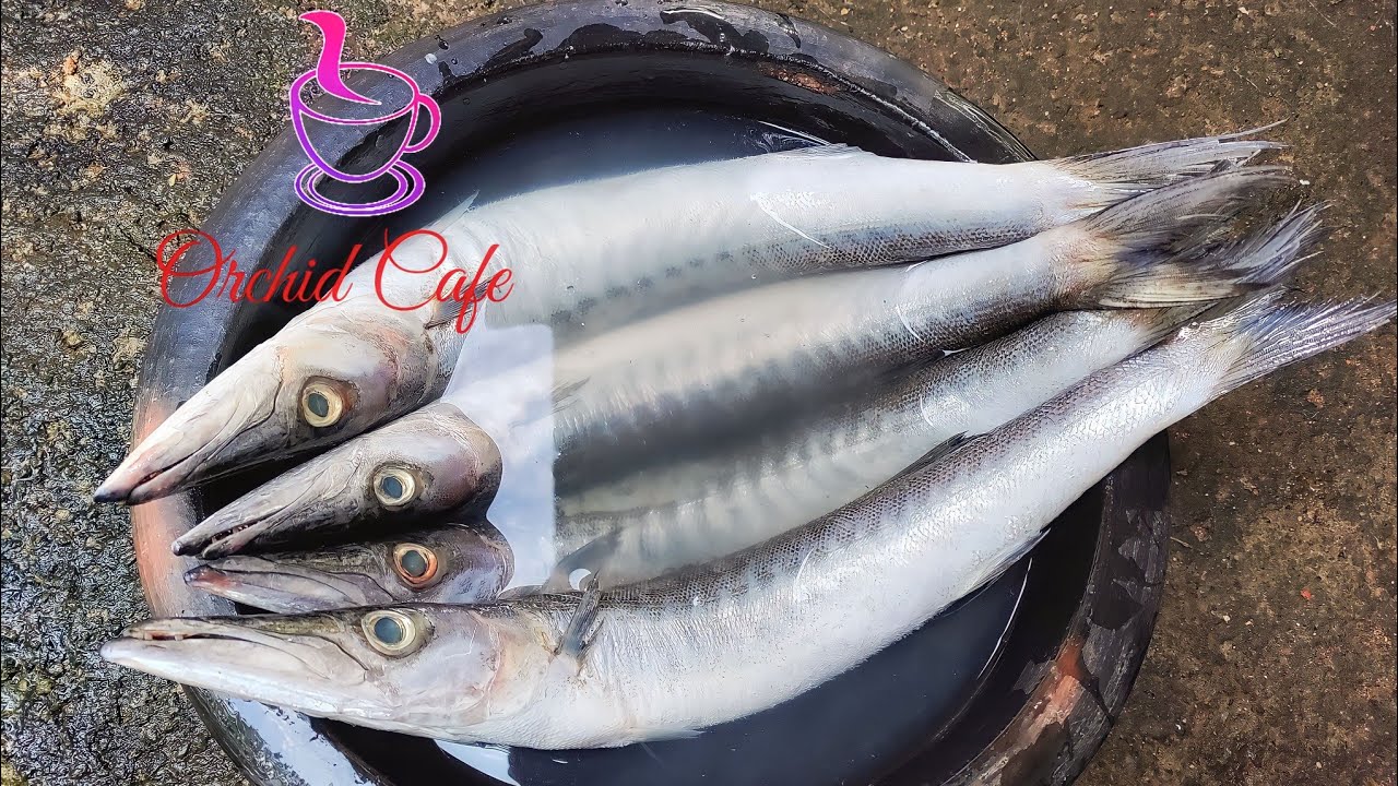 Ulavu/Sea Pike Fish Cleaning Method||Kerala Style||Fish Cutting|||Ep No ...