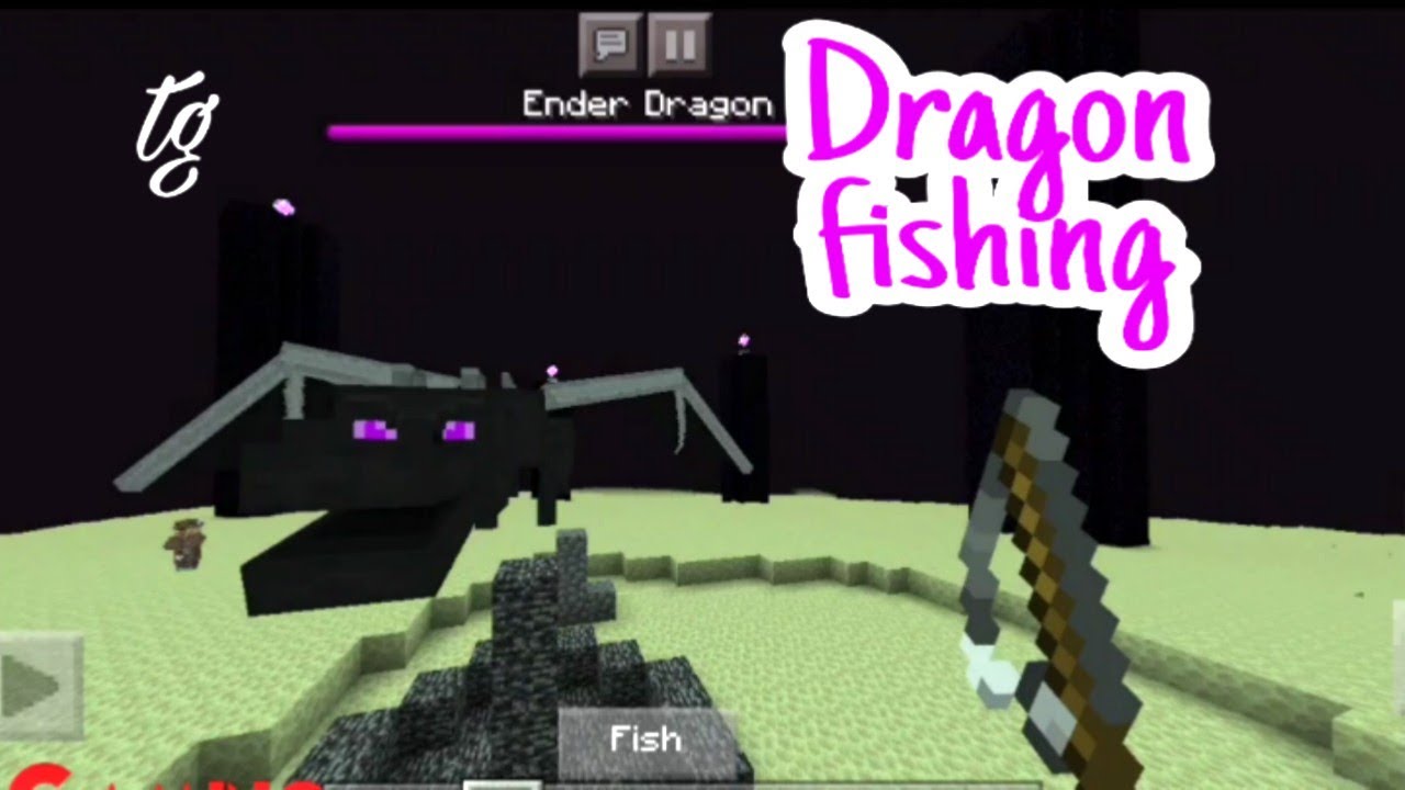 Ender dragon Fishing || can I catch Dragon by fishing rod || Totka ...