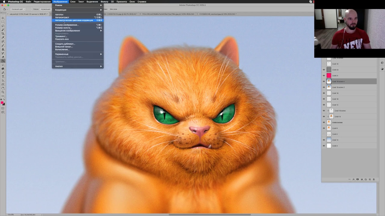 Fat Cat Software