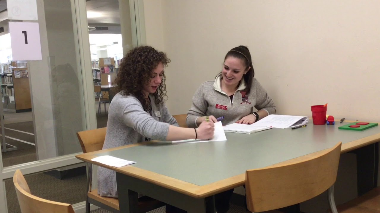 Level II Fieldwork Assignment At WPS On The Battelle Developmental ...