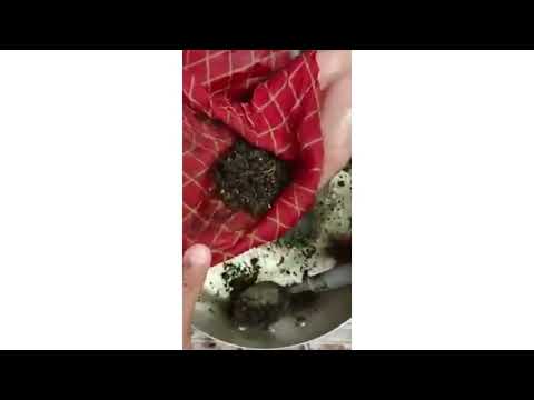 كيفية الحصول على زيت الكيف لتحضير البربوقة (أحسن طريقة لتحضير زيت الحشيش من الكيف أو القنب الهندي)