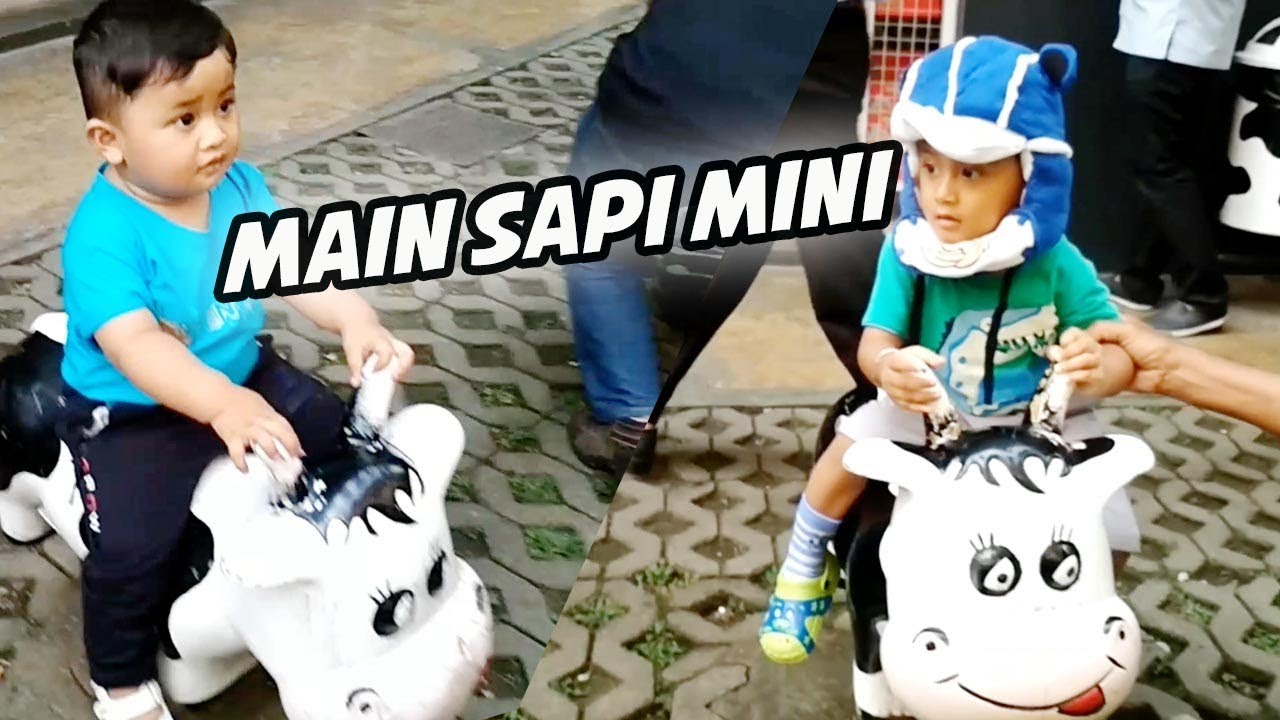 Balita Lucu Main Sapi Mini di Cimory Riverside Puncak Bogor - YouTube