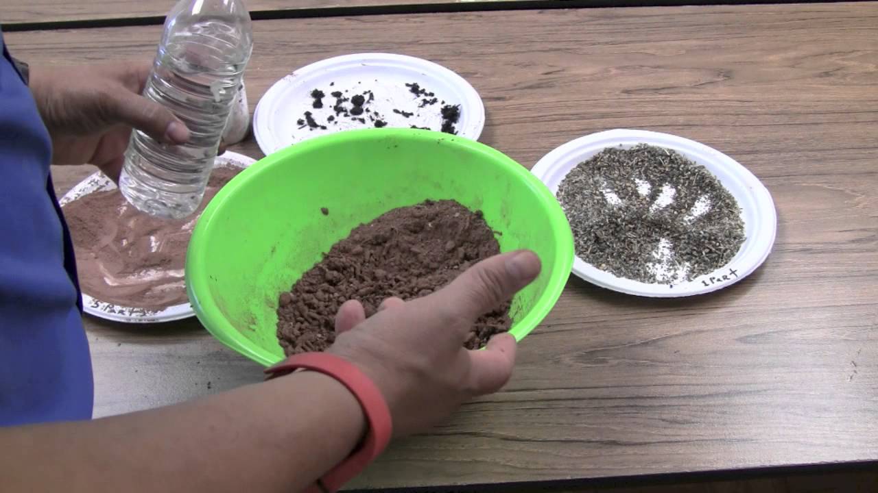 Making Seed Balls with Katy Prairie Conservancy - YouTube