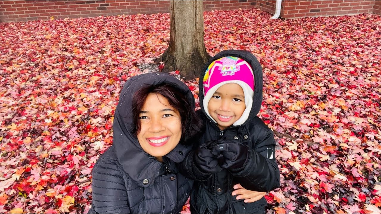 First Snow Fall 2021 at Naperville ,IL,USA - YouTube