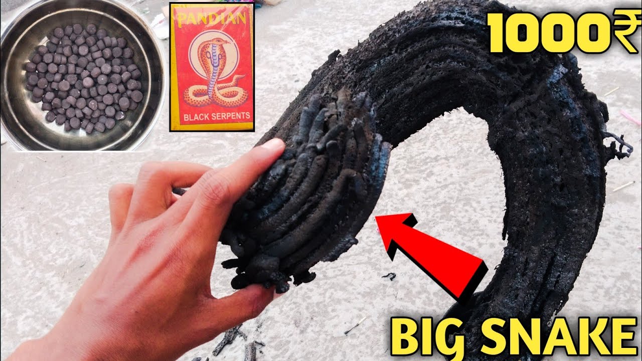 1000₹ Snake 🐍 Bomb At Once Amazing Experiment || Dher sara Snake 🐍bomb ...
