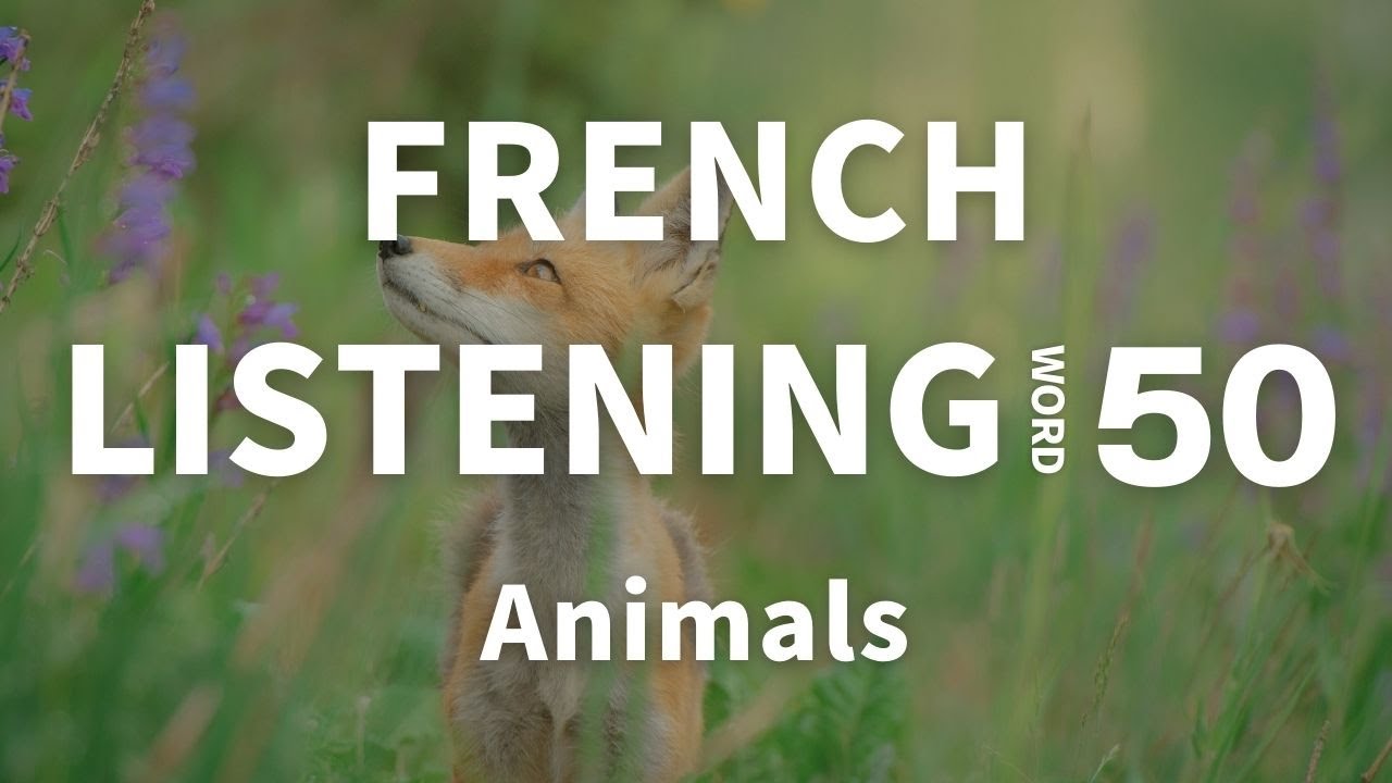 Easy French Listening | Words for Animals - YouTube