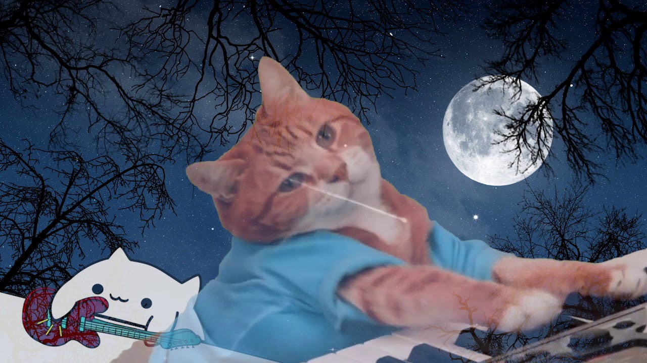 Dancing in the Cat Light - YouTube