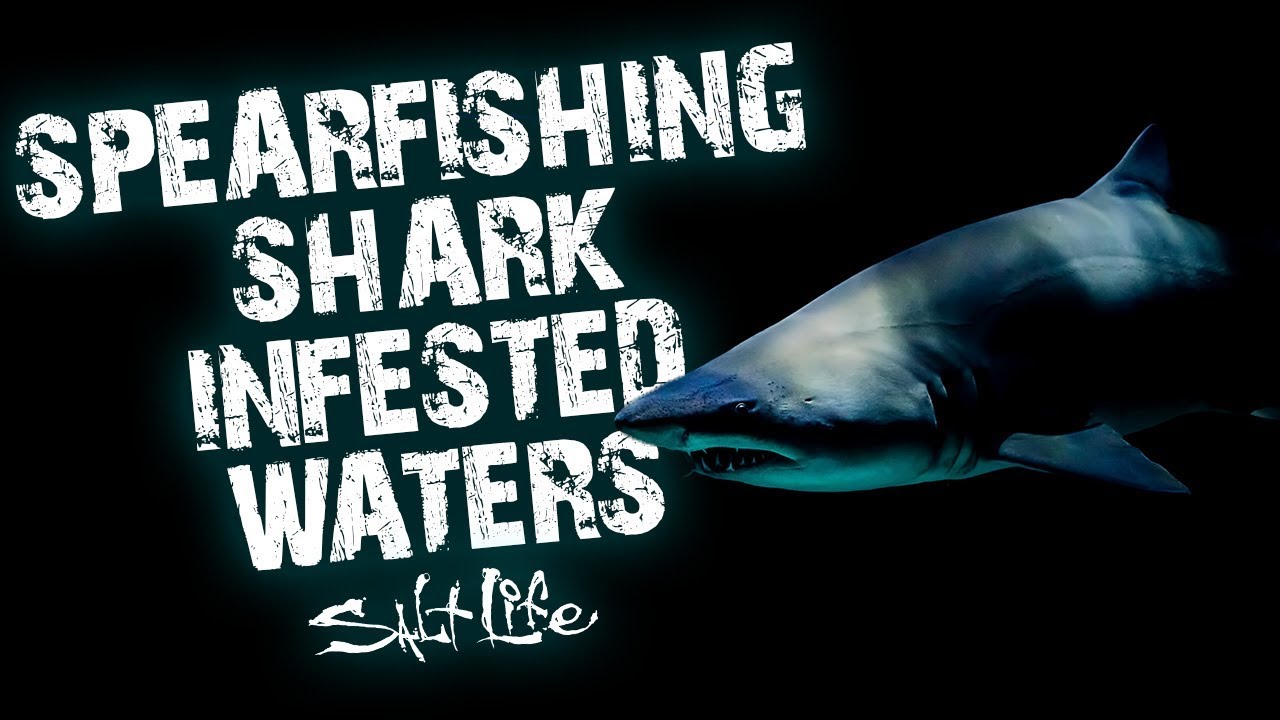 Spearing A Snapper in Shark Infested Waters | Salt Life - YouTube