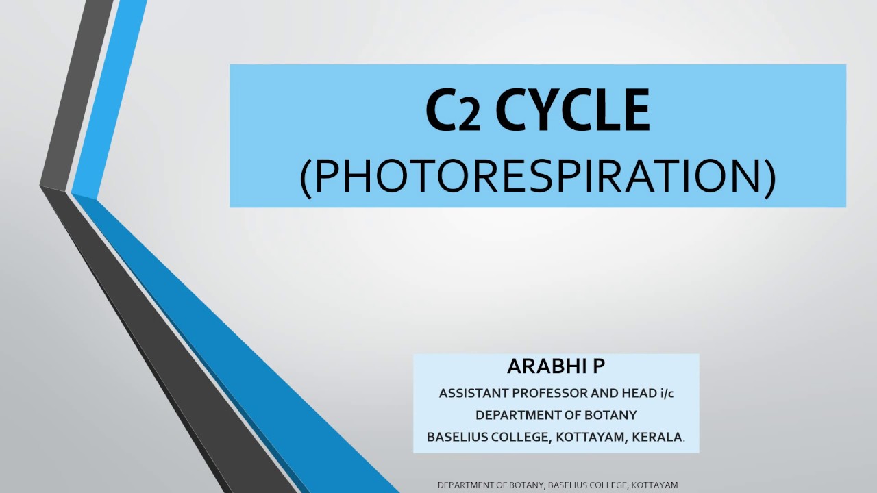 Dark Reaction -Part 3 -C2 cycle (Photorespiration) - YouTube