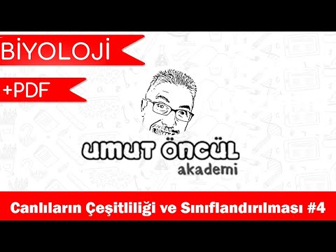 Biyoloji | TYT | Canlılar Dünyası | Canlıların Çeşitliliği ve Sınıflandırılması #4 | +PDF