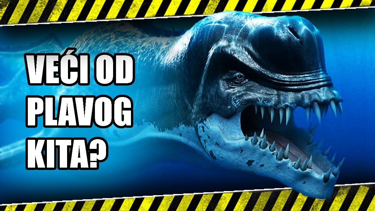 MORSKO ČUDOVIŠTE KOJE JE PROŽDIRALO KITOVE? 🐳 - YouTube